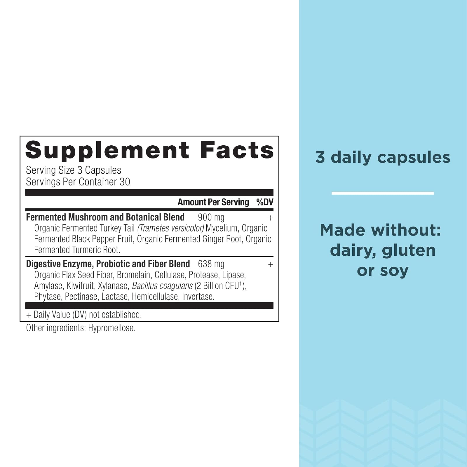 support healthy digestion with enzymes