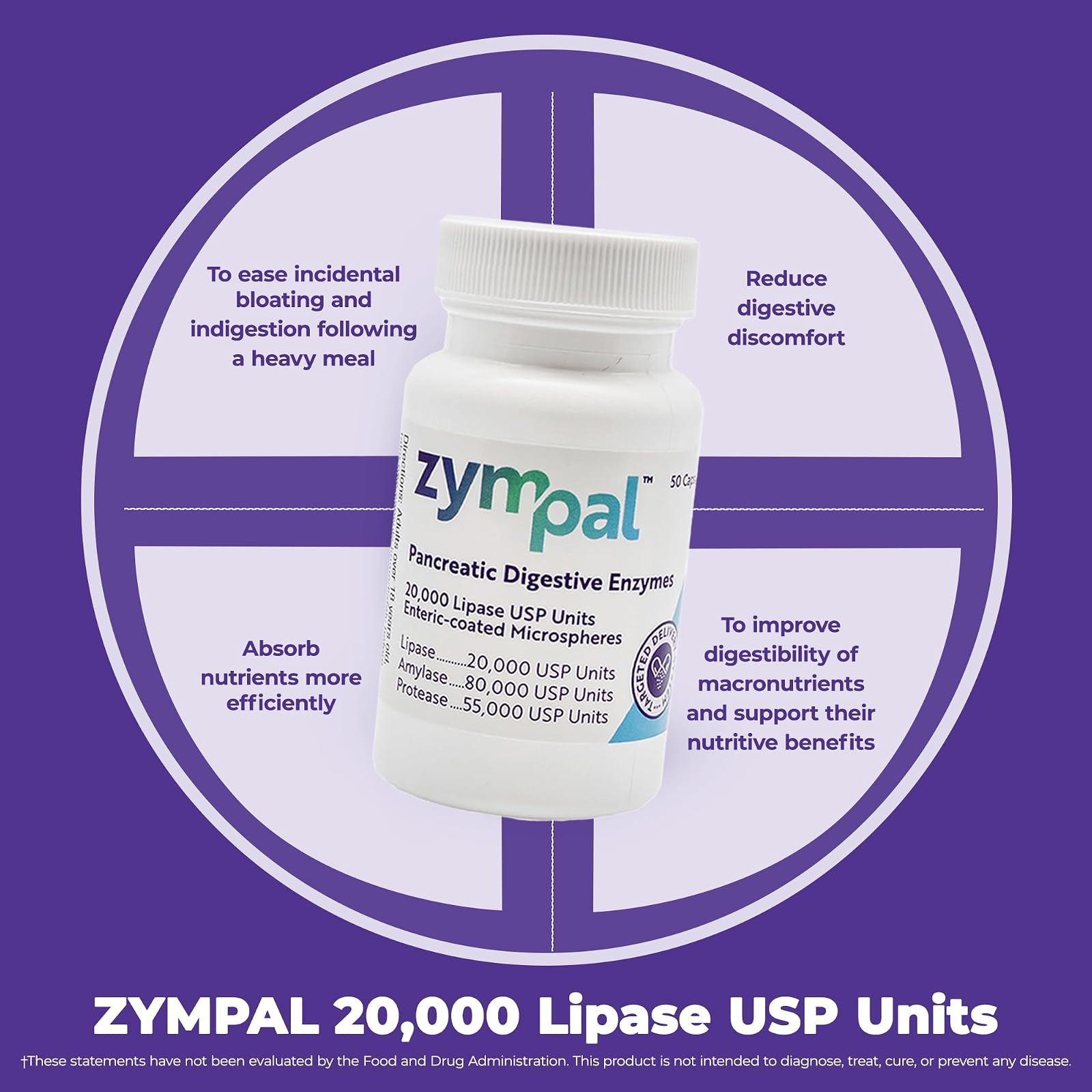 support healthy digestion with enzymes