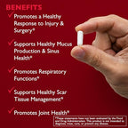 support healthy digestion with enzymes