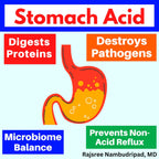 support healthy digestion with enzymes