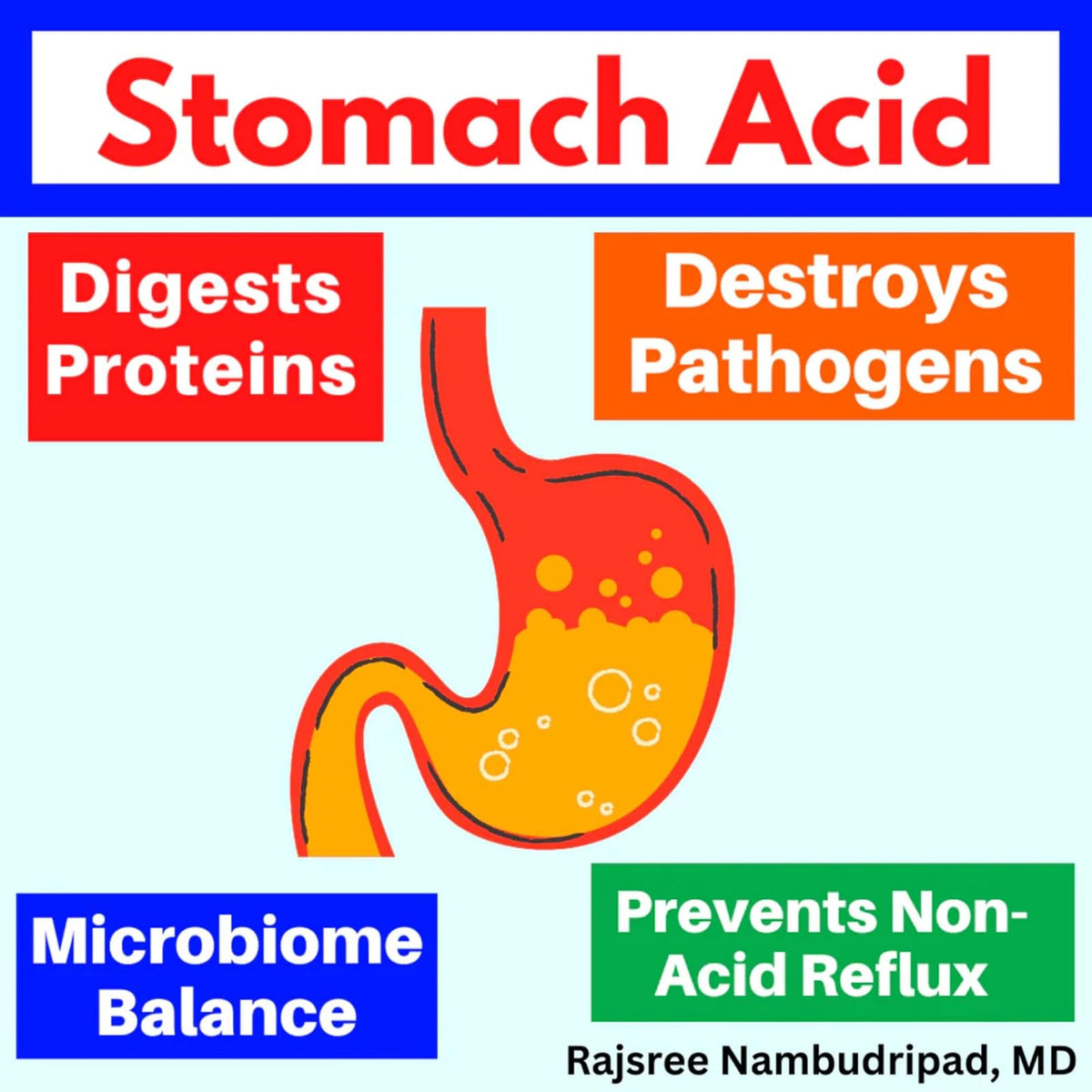 support healthy digestion with enzymes