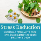 support healthy digestion with Morter