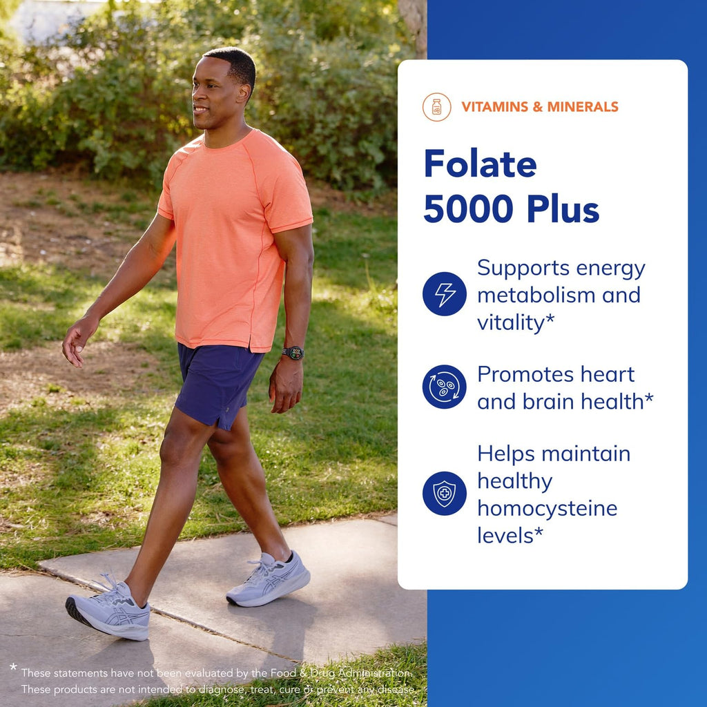 support healthy fetal development folate