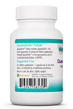 support healthy fetal development folate