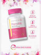 support healthy fetal development vitamins
