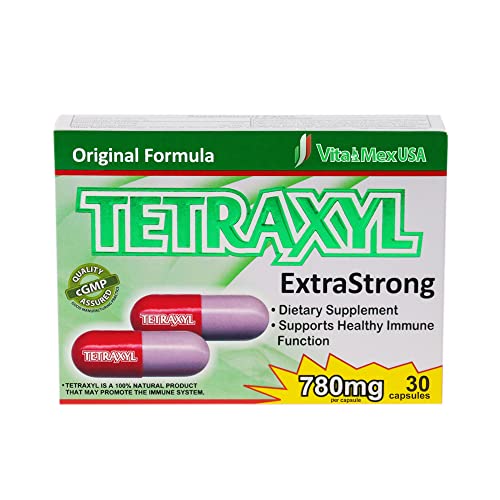 support healthy immune function echinacea