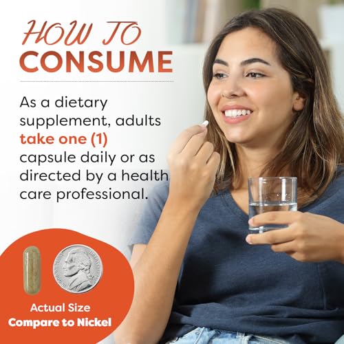support healthy immune function