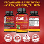 support healthy inflammation response