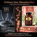support healthy iron levels naturally