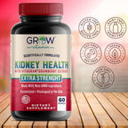 support healthy kidney function naturally