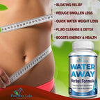 support healthy kidney function