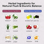 support healthy kidney function