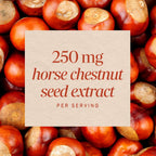 support healthy legs with horse chestnut