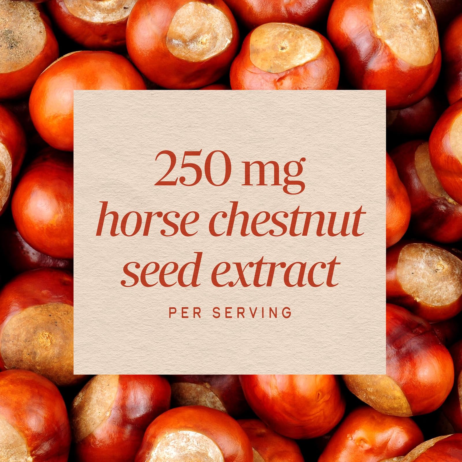 support healthy legs with horse chestnut