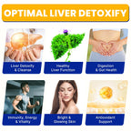 support healthy liver detoxification