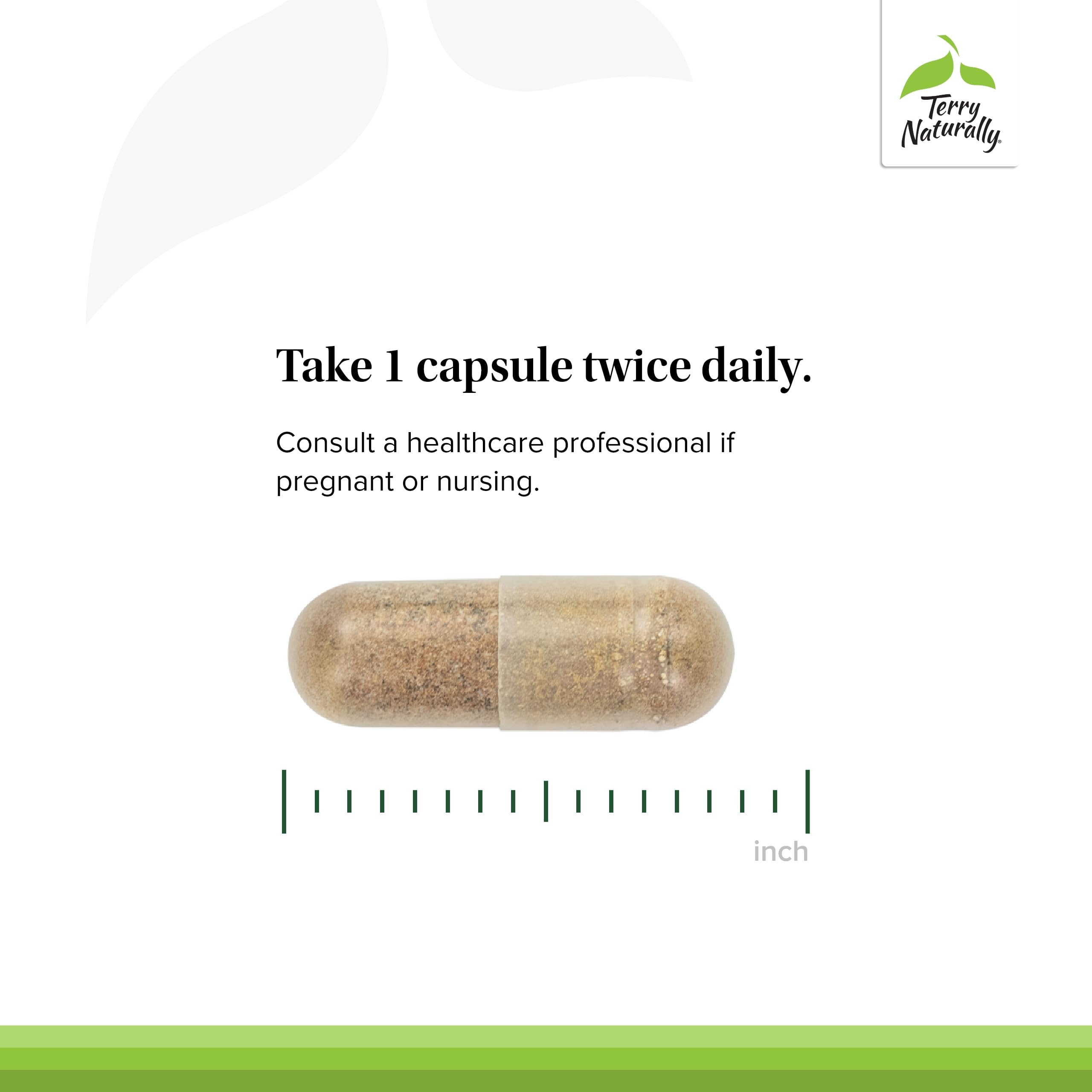 support healthy liver function daily