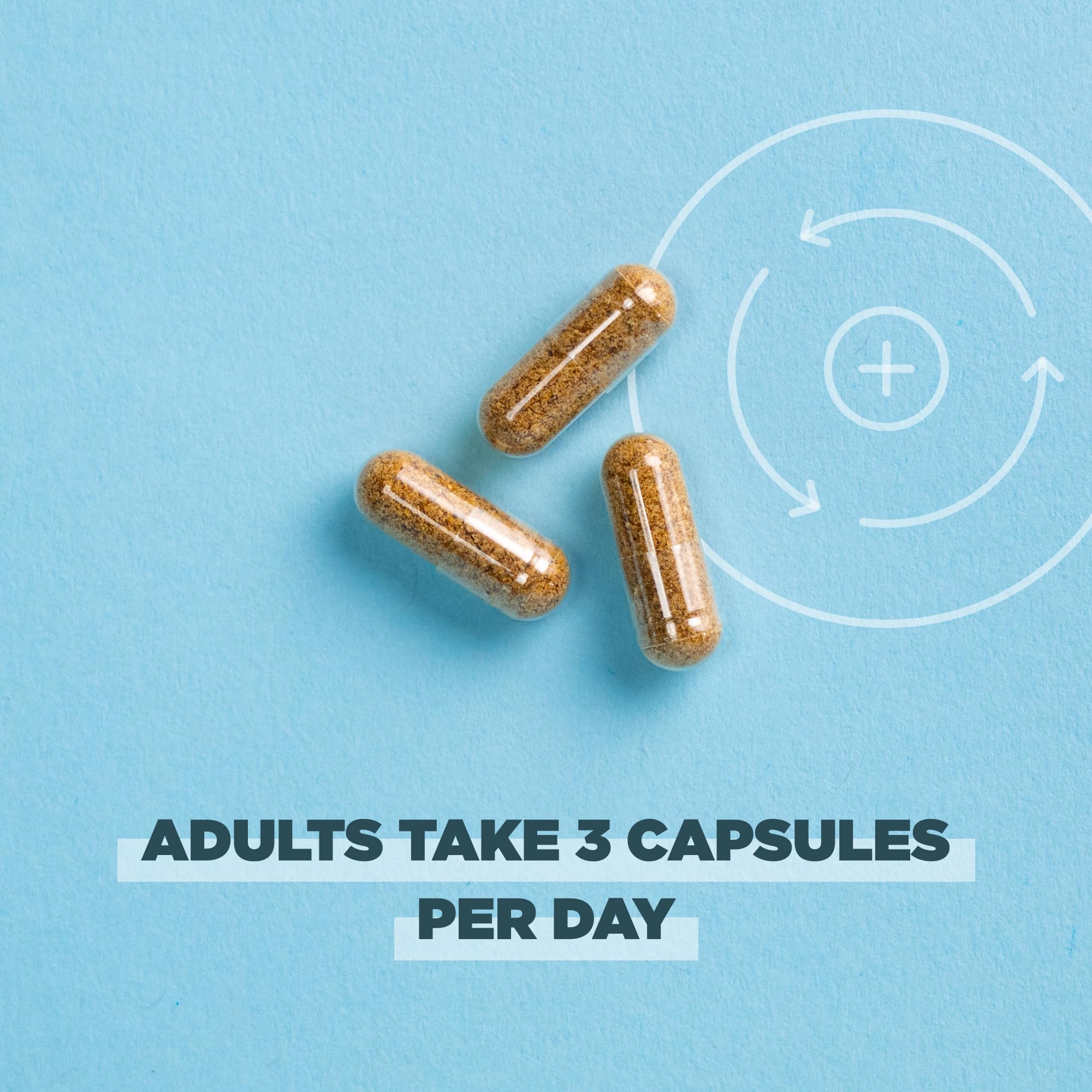 support healthy liver function naturally