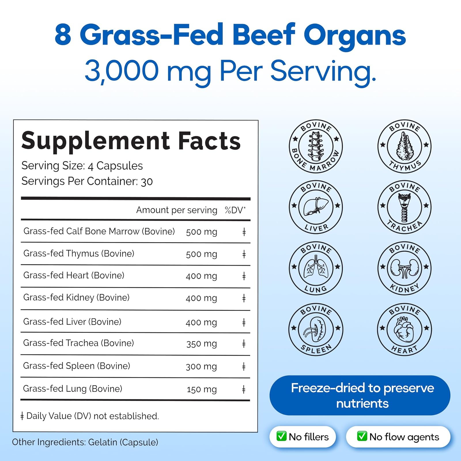 support healthy liver function supplement