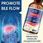 support healthy liver function