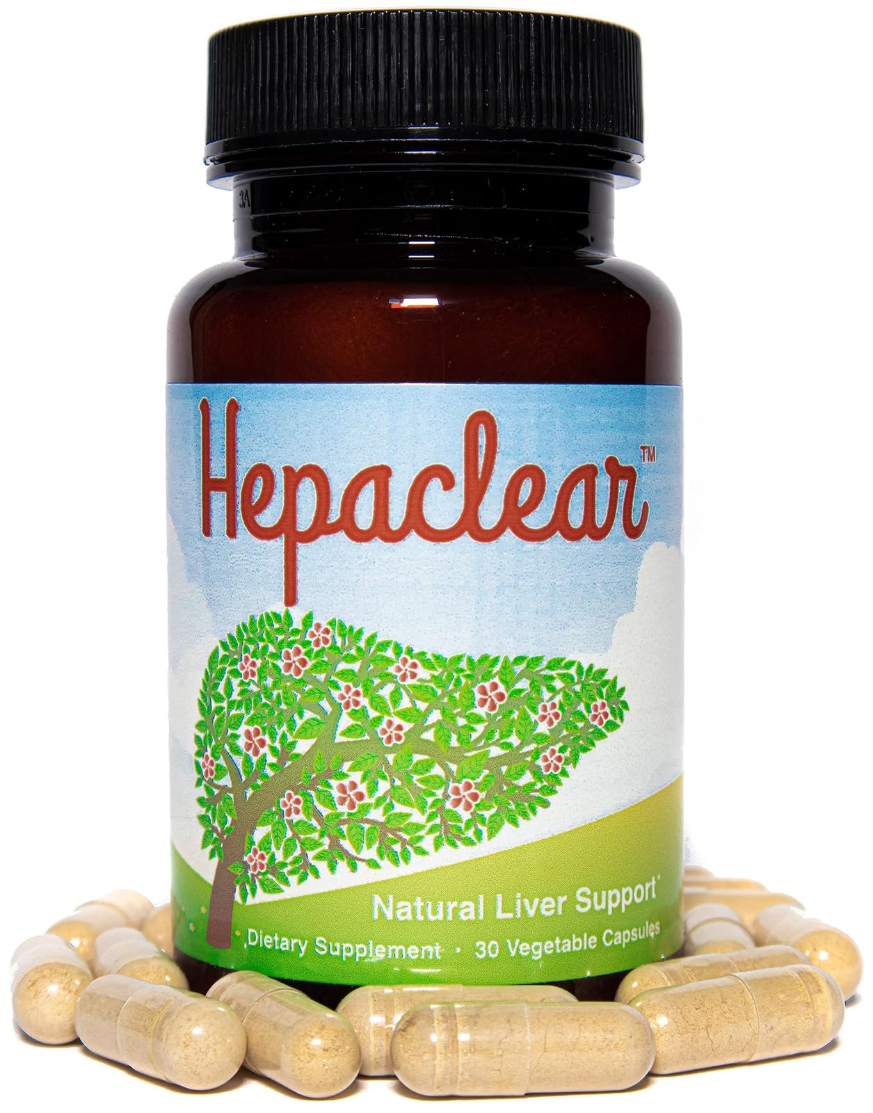 support healthy liver function