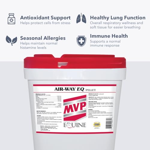 support healthy lung function horses
