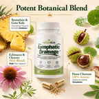 Support healthy lymphatic function