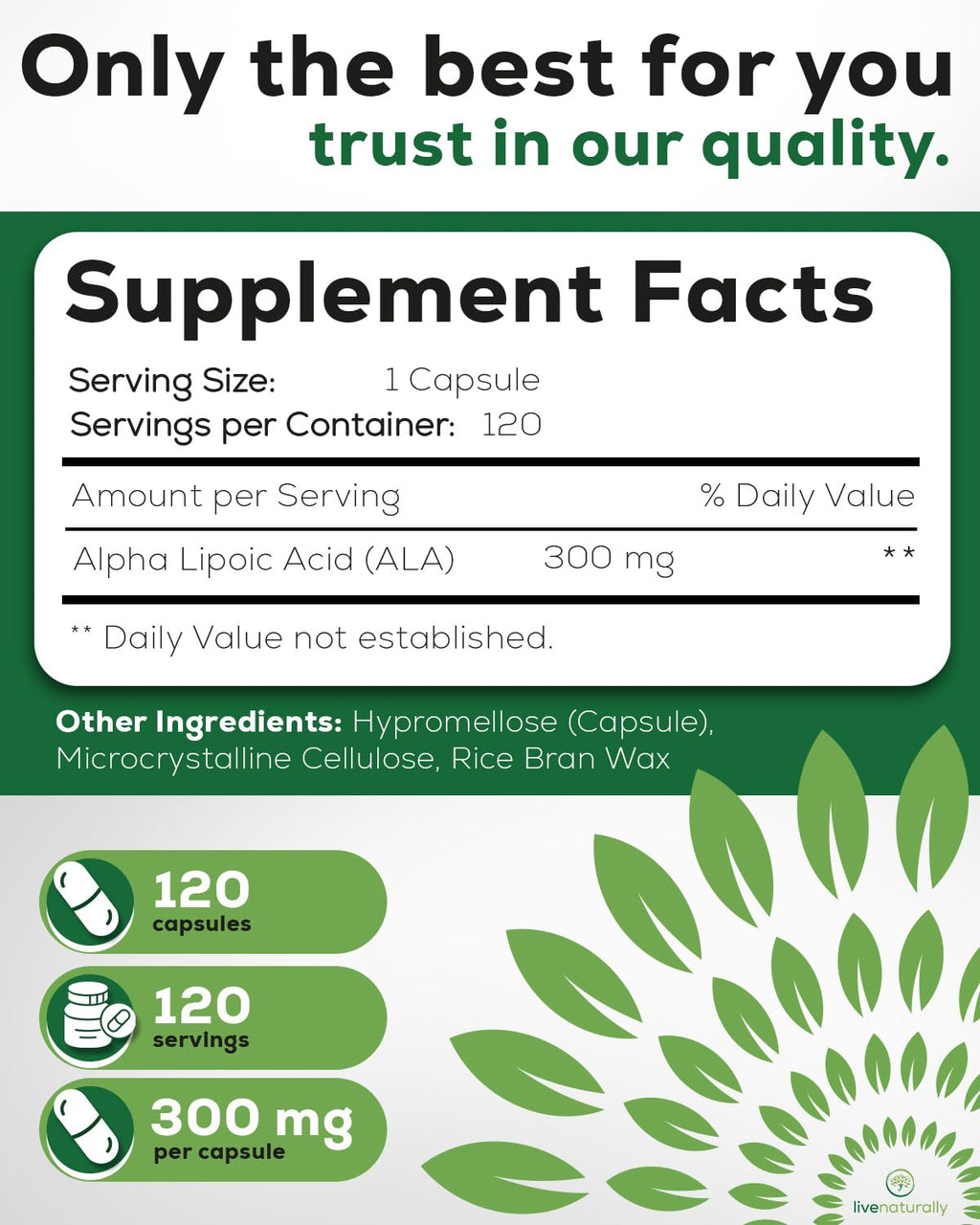 support healthy metabolism alpha lipoic acid