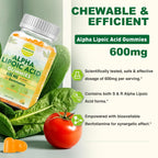 support healthy metabolism alpha lipoic acid