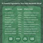 support healthy metabolism naturally