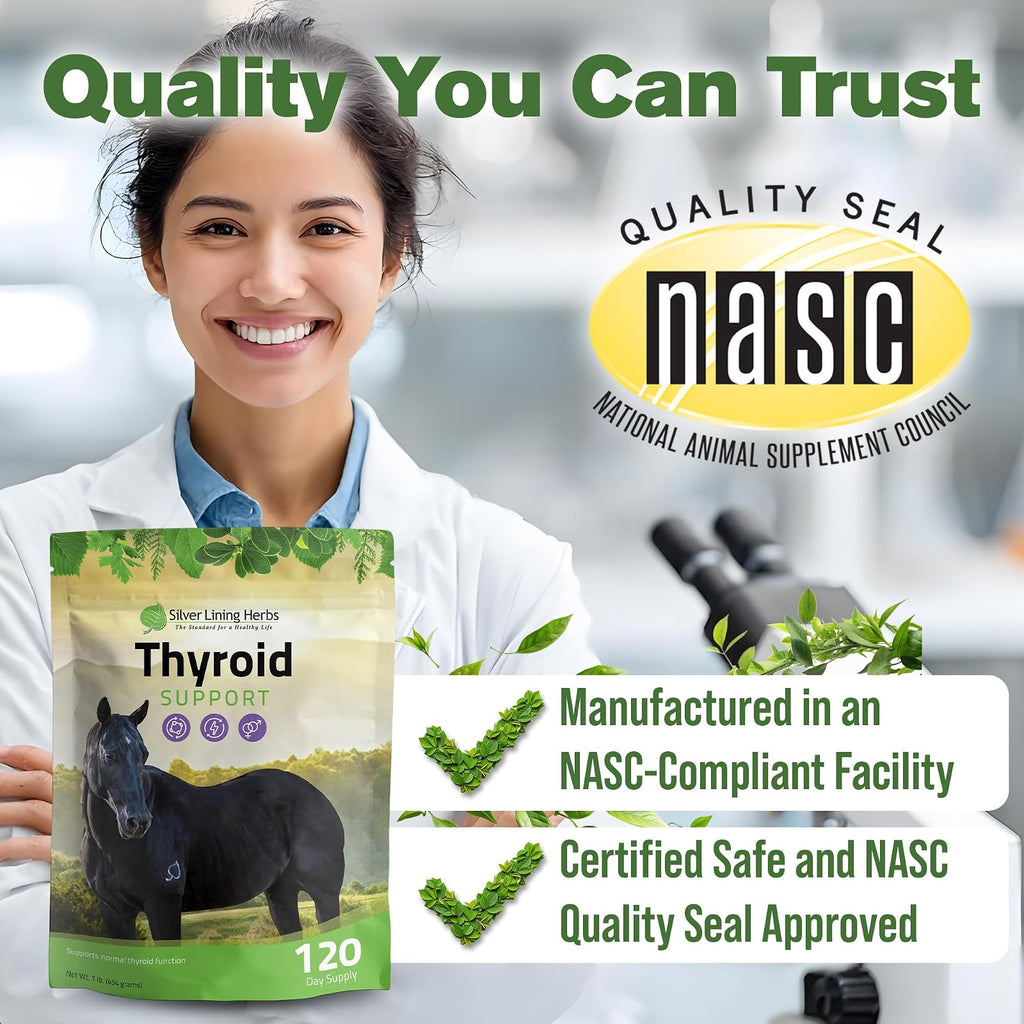 support healthy metabolism naturally