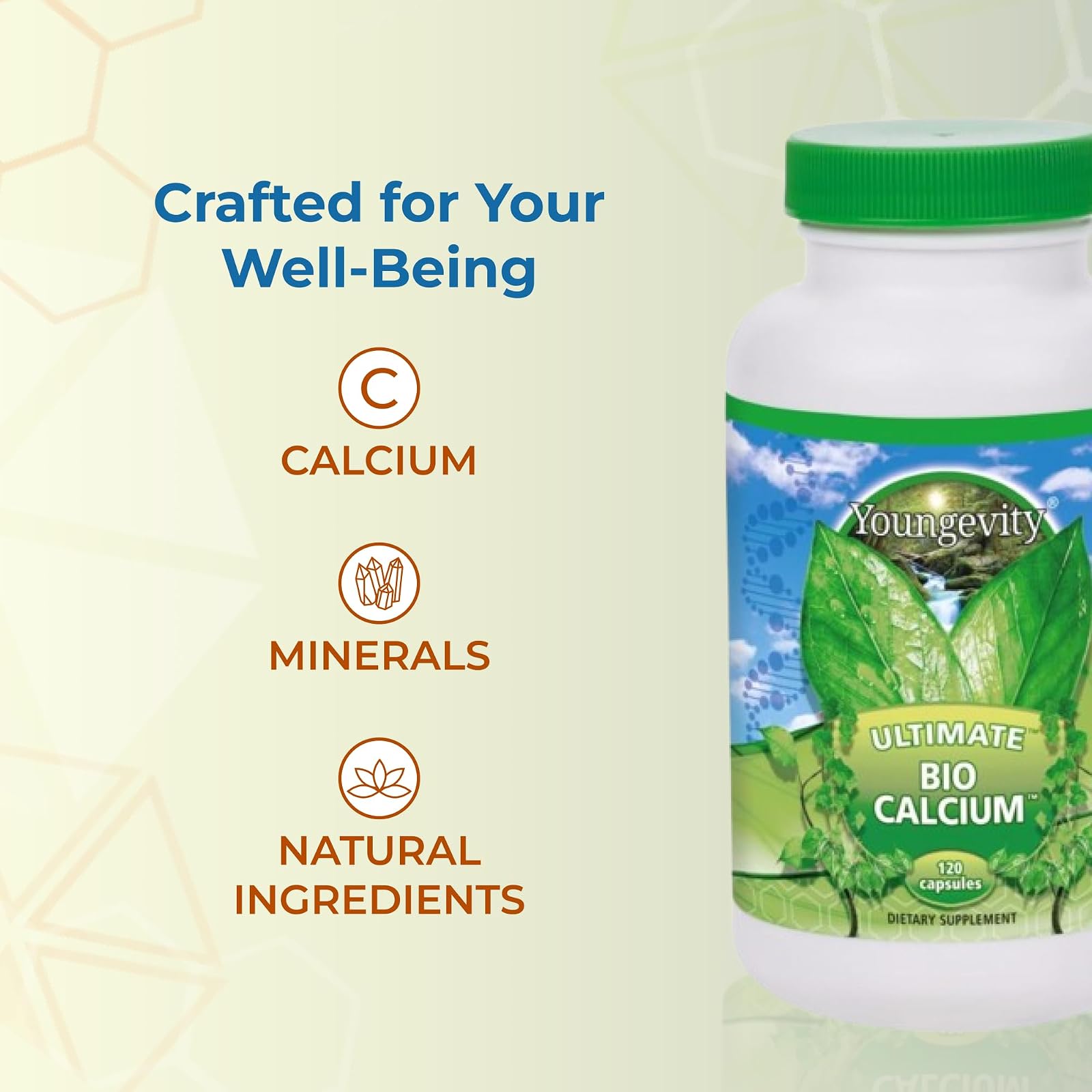 support healthy muscle function