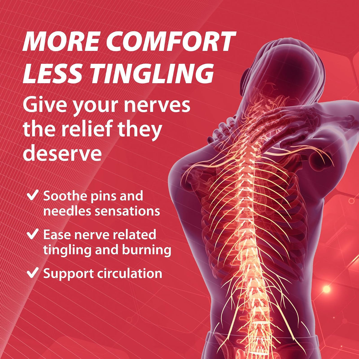 support healthy nerve function