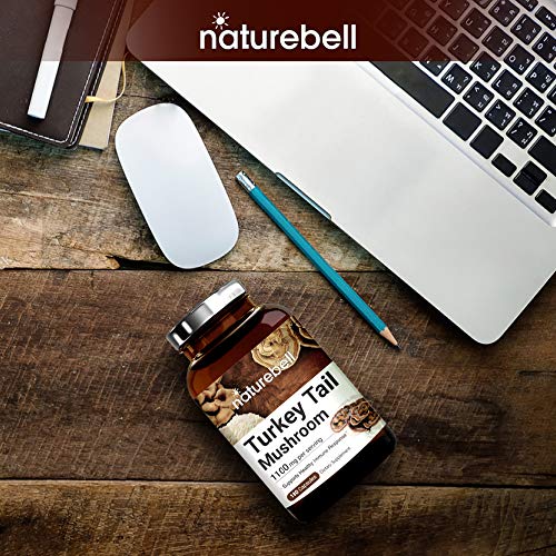support healthy nervous system mushrooms