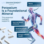 support healthy potassium levels