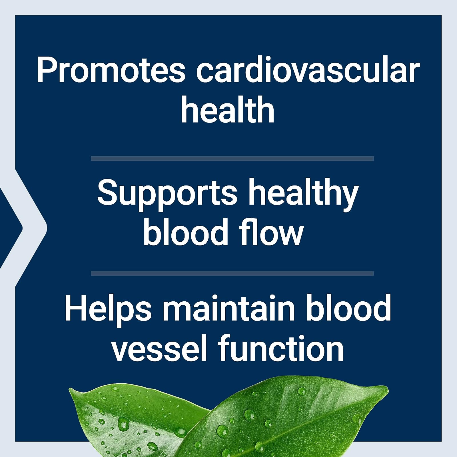 support healthy potassium levels