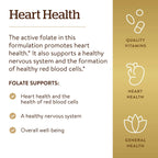 support healthy prenatal development