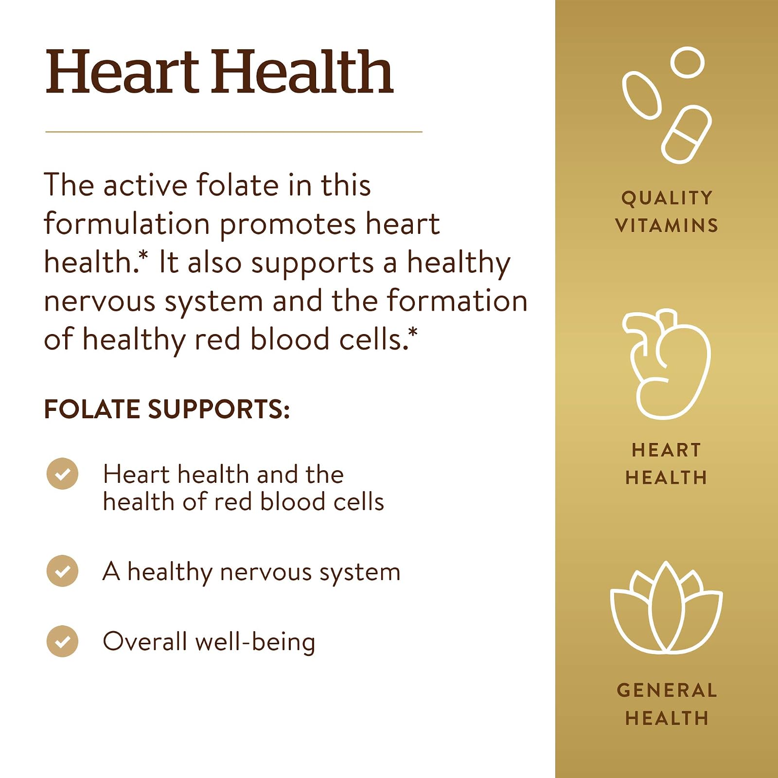 support healthy prenatal development