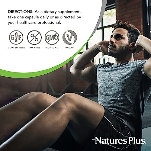 support healthy relaxation and focus