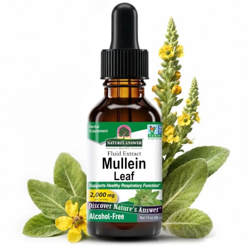 support healthy respiratory function mullein
