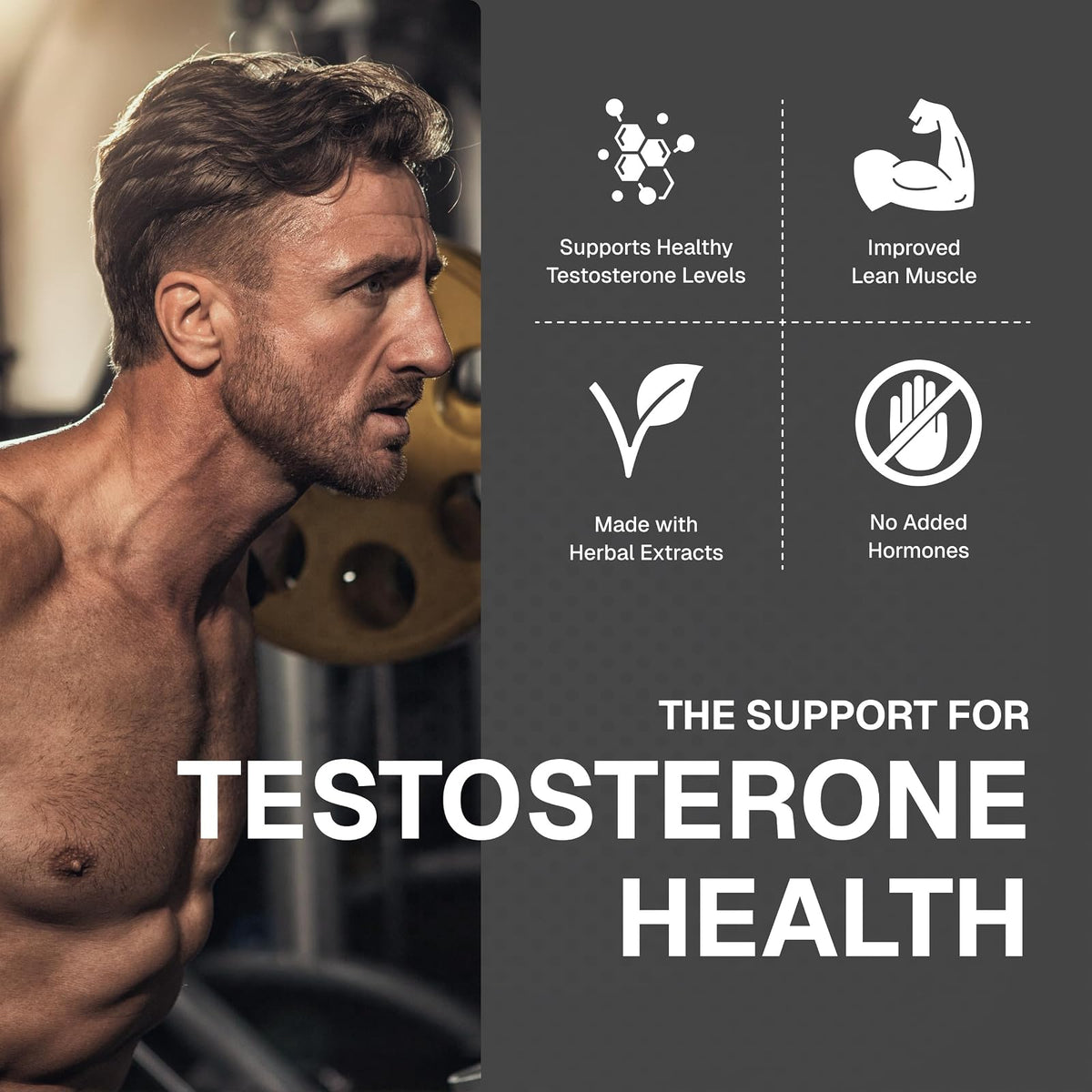 support healthy testosterone levels