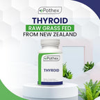 support healthy thyroid function