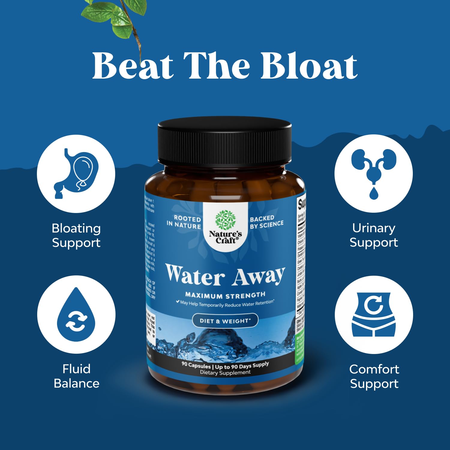 support healthy water balance
