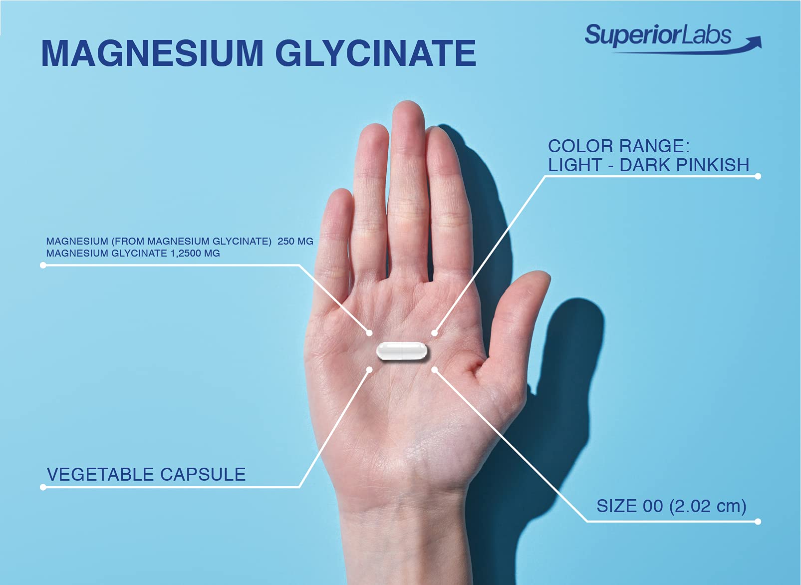 support heart function with magnesium