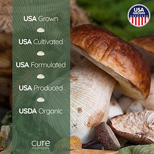 support heart health with mushrooms