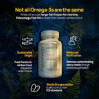 support heart health with omega 3