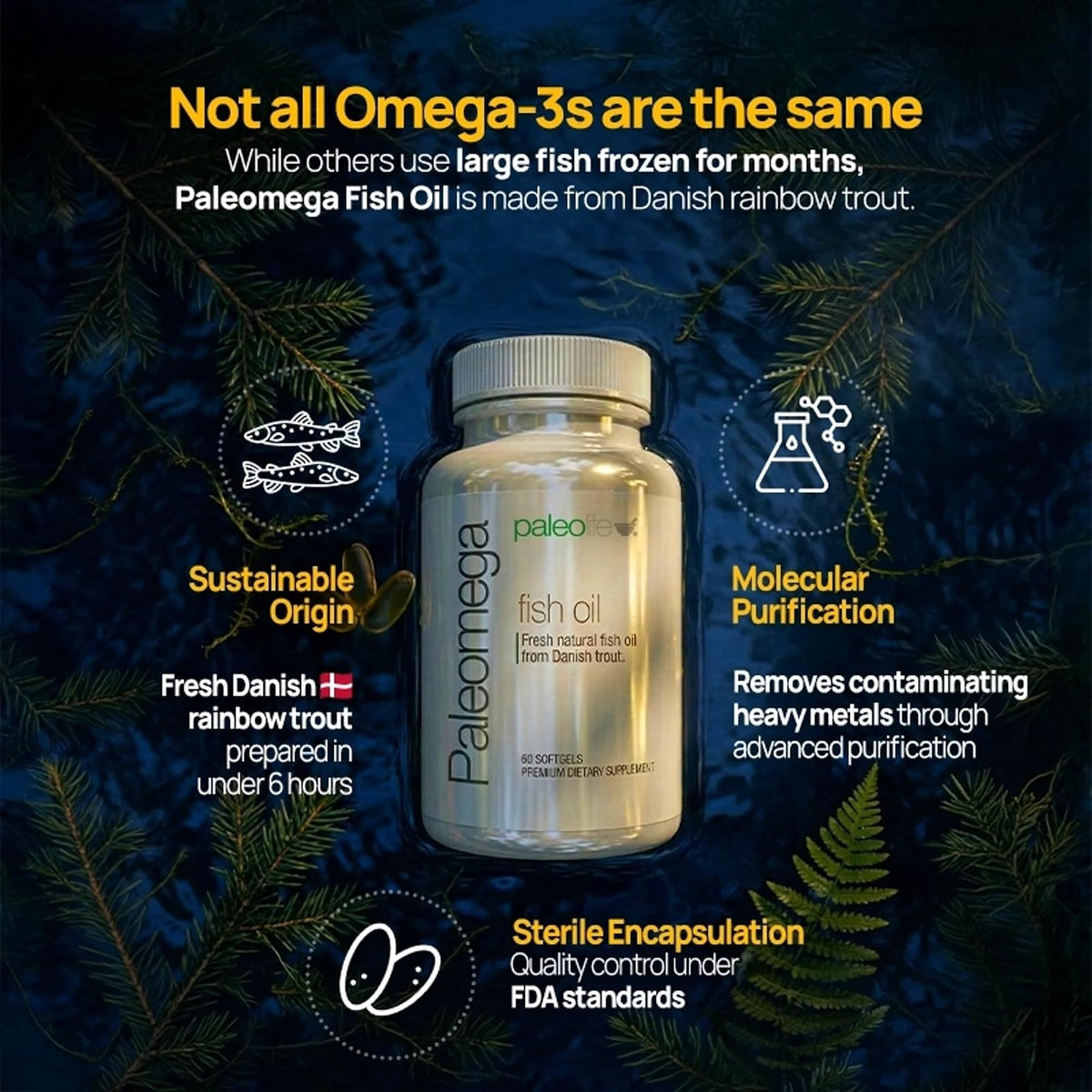 support heart health with omega 3
