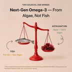 support heart health with omega 3