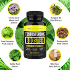 support hormonal balance and vitality