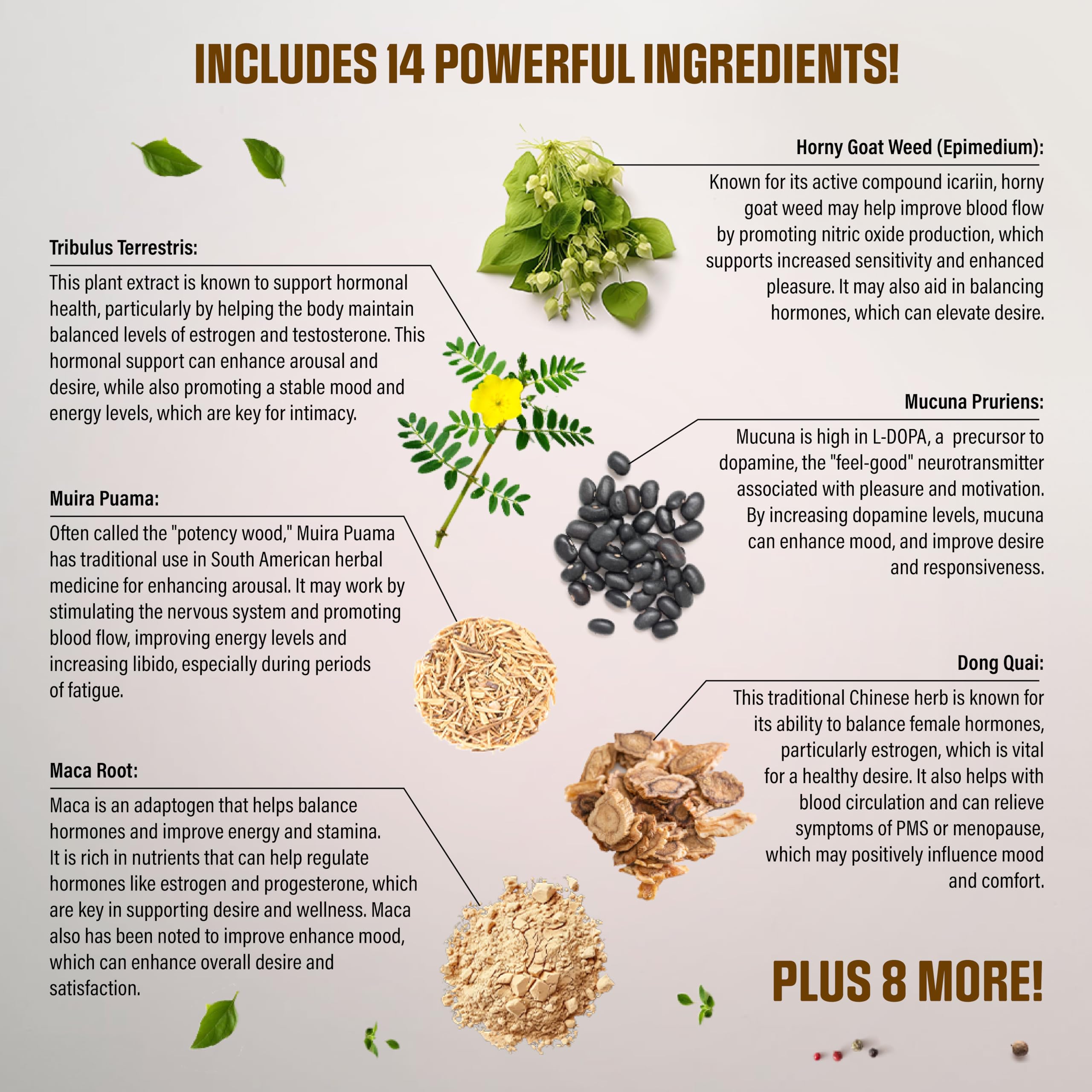 support hormonal balance with ashwagandha