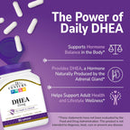 Support hormonal balance with DHEA